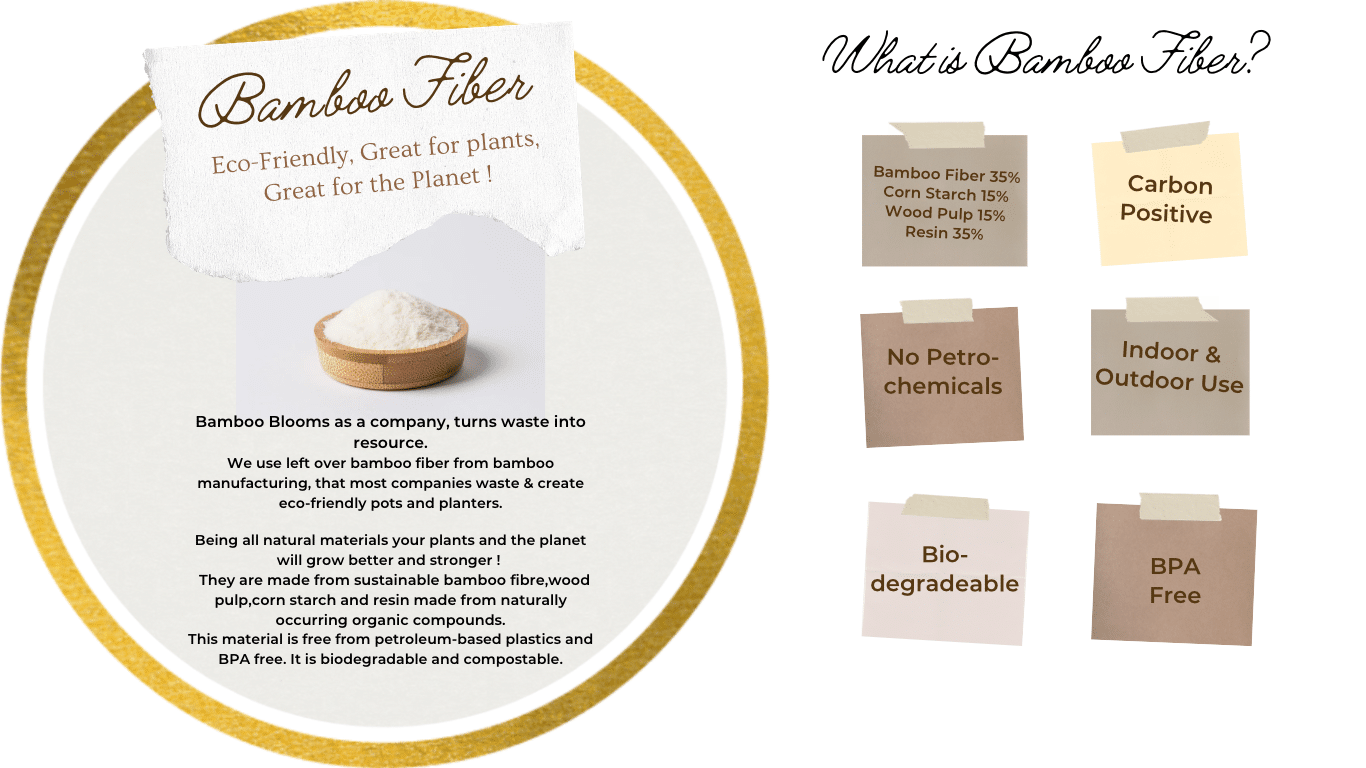 Eco-Friendly Benefits of Bamboo Fiber | Bamboo Blooms